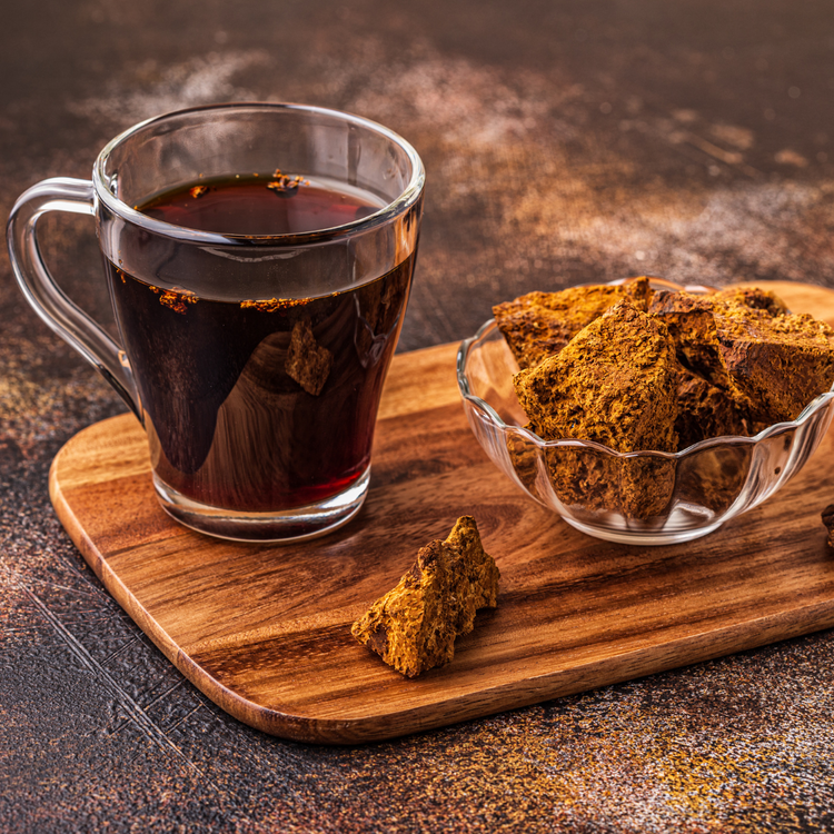 Chaga Mushroom: Nature's Superfood